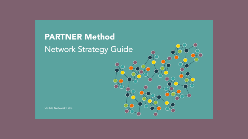 Network Strategy Worksheet - Visible Network Labs