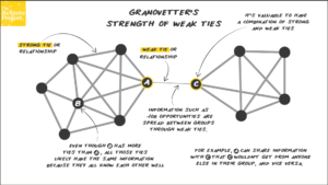 Network Science: A Reference Guide - Visible Network Labs