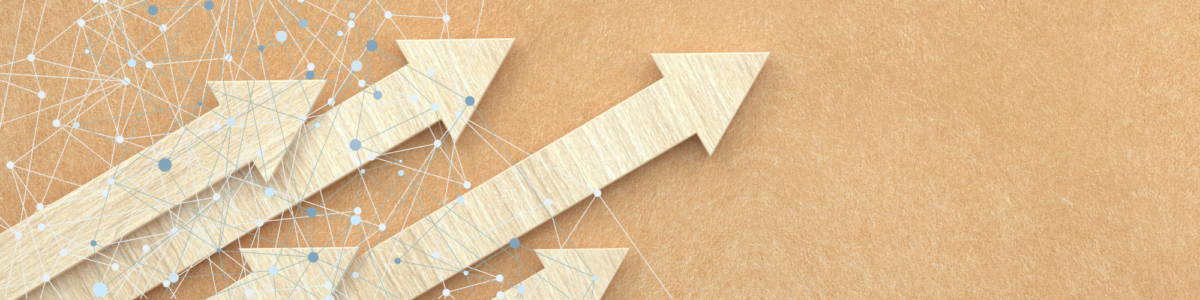 Building Sustainable Community Networks: 13 Evidence-Based Best ...