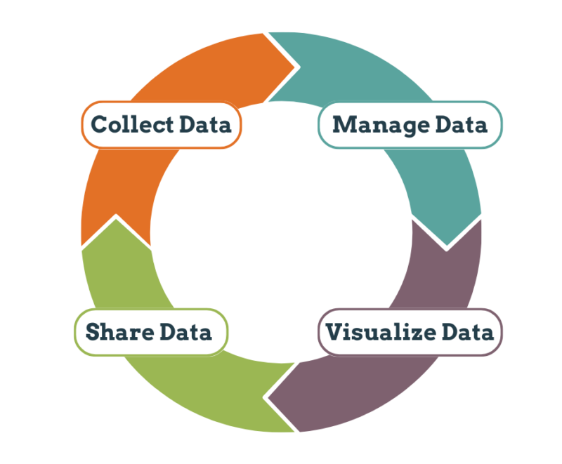 How It Works - Visible Network Labs