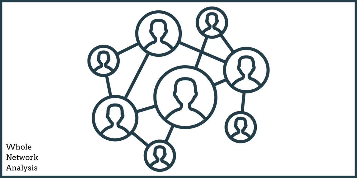The 2 Types of Social Network Analysis (SNA): Ego vs Whole Network Analysis - Visible Network Labs